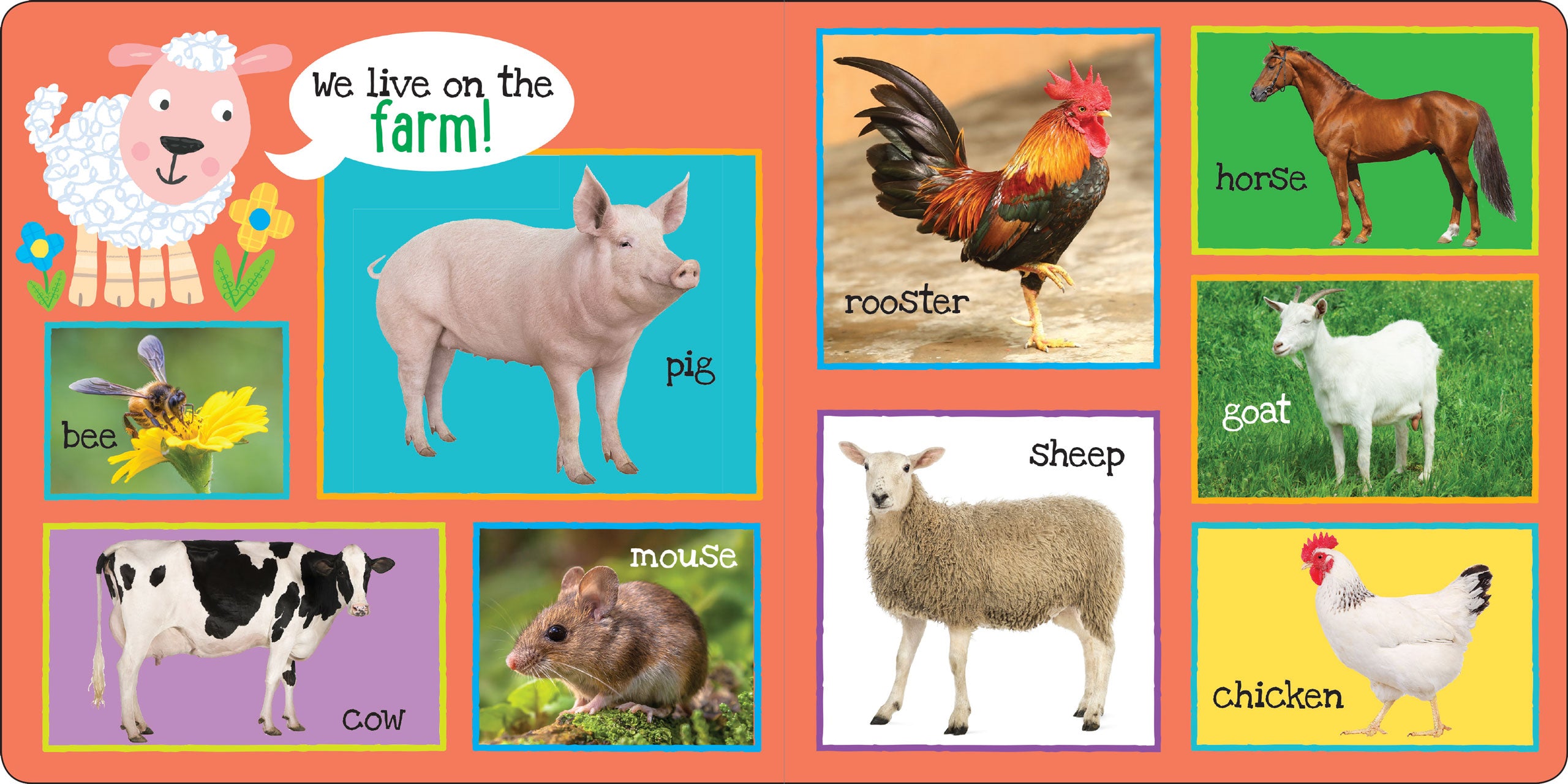 BOARD BK MY FIRST 101 ANIMALS – Wildflower and Twigs